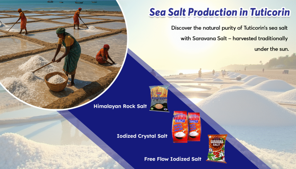 Sea Salt Production in Tuticorin - Saravana Salt